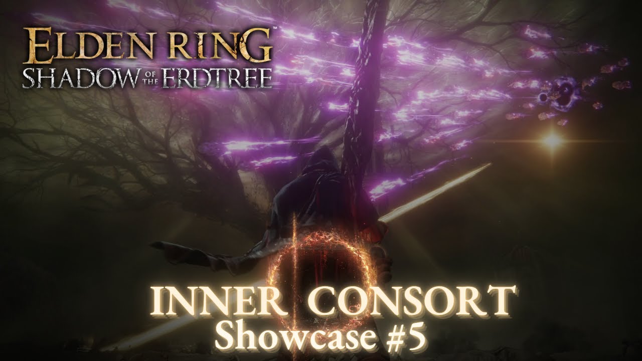 ELDEN RING DLC ~ Inner Consort v1.02 Showcase [Meteor Visual Changes ...