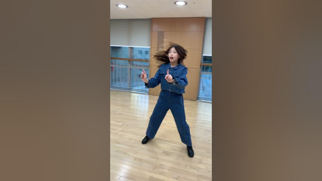 세븐틴 음악의 신 2023 11 26 댄스 댄서 춤 댄서석류 파자마댄서 Pajamas Dancer Dance Challenge