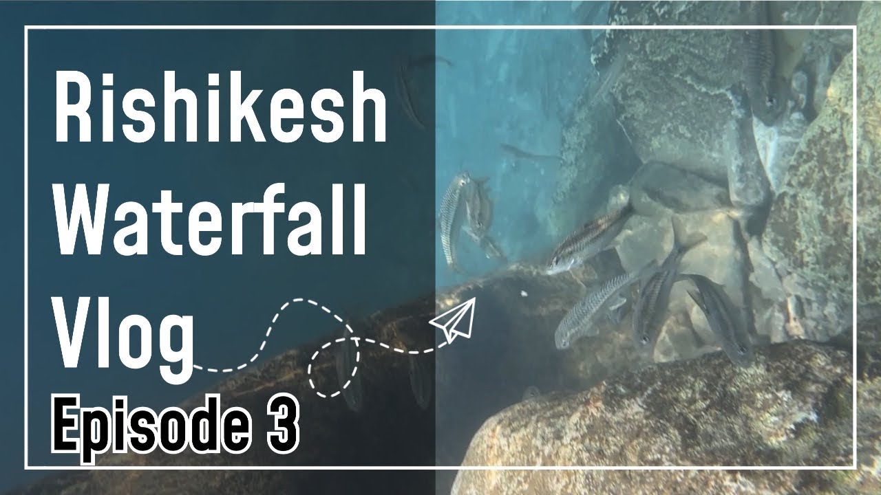 Rishikesh Water Vlog | Episode 3 | Enjoy waterfall Rishikesh | #vlog ...