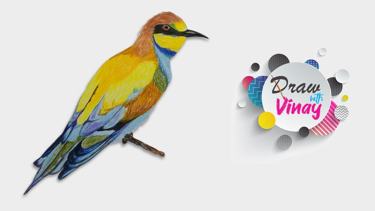 Bee Eater Bird in Colour Pencil - Draw with Vinay - YouTube