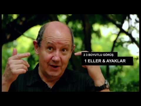 İnsanoğlu Nasıl Gelişti? (Büyük Tarih Projesi)