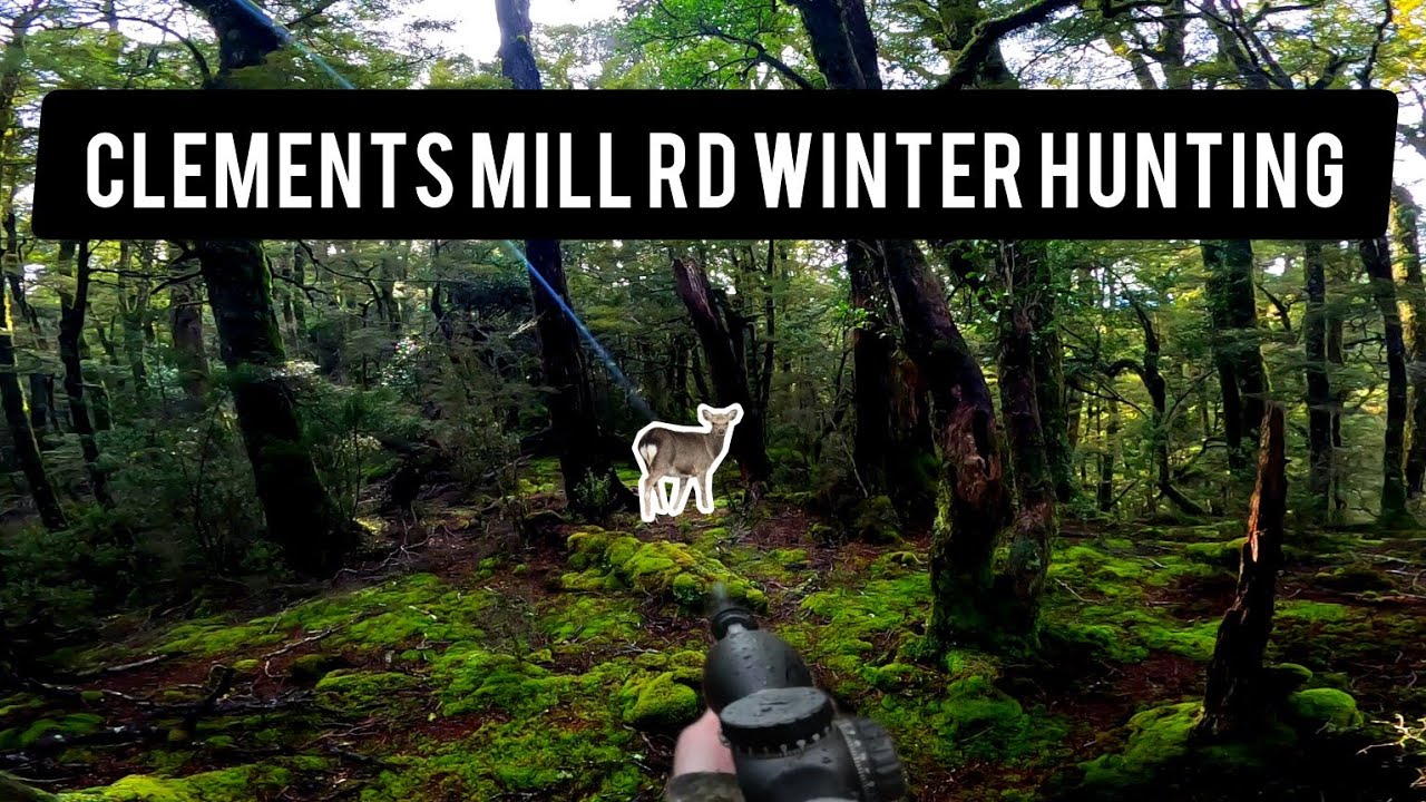 Kaimanawa Sika Deer Hunting, Clements Mill Road - YouTube