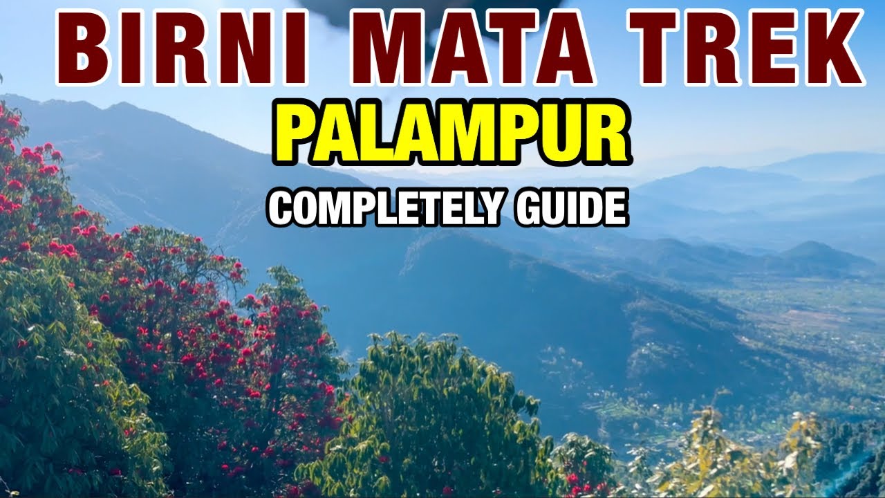 Birni Mata Trek | Unexplored Trek in Palampur | Birni Mata Temple ...
