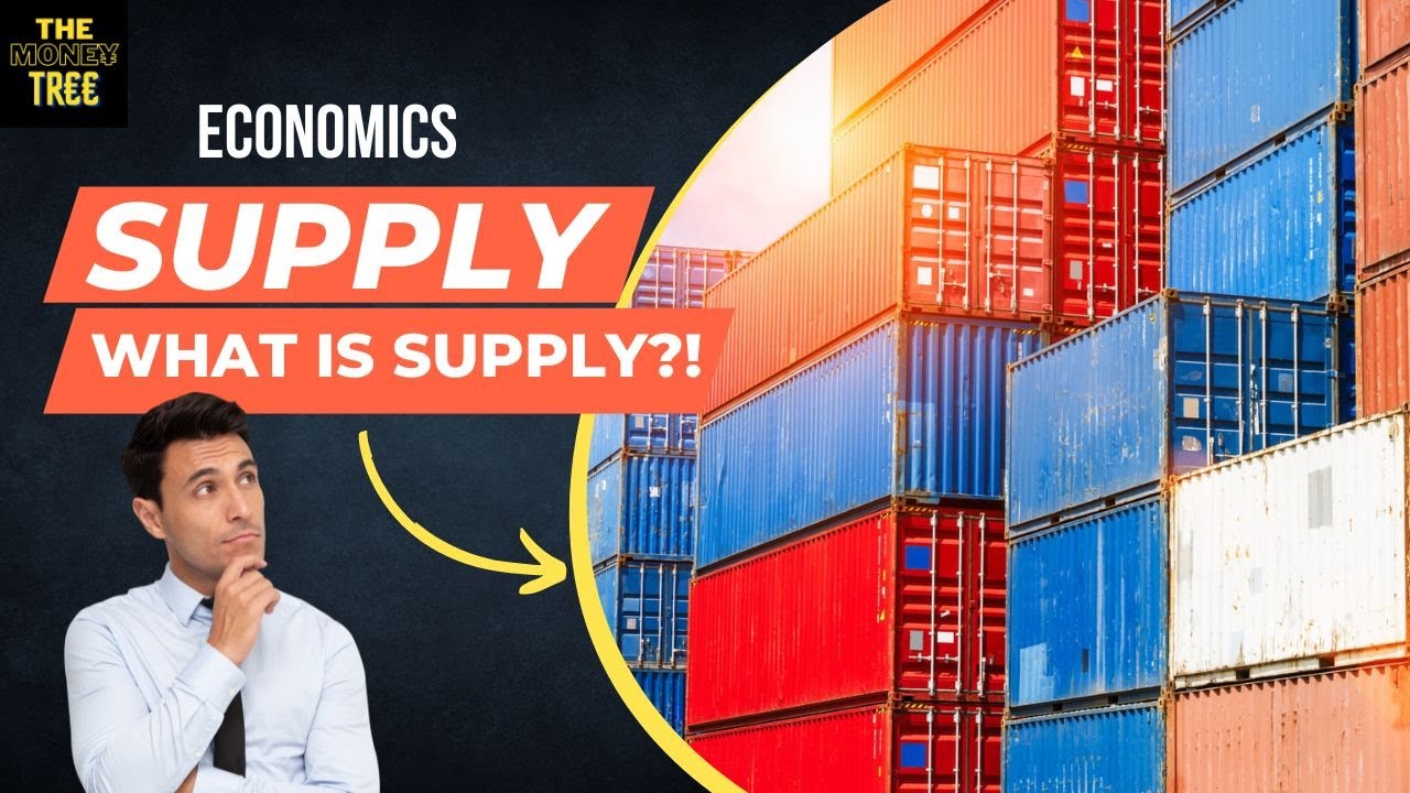 SUPPLY| Know all about market SUPPLY! | Economics | The Money Tree ...
