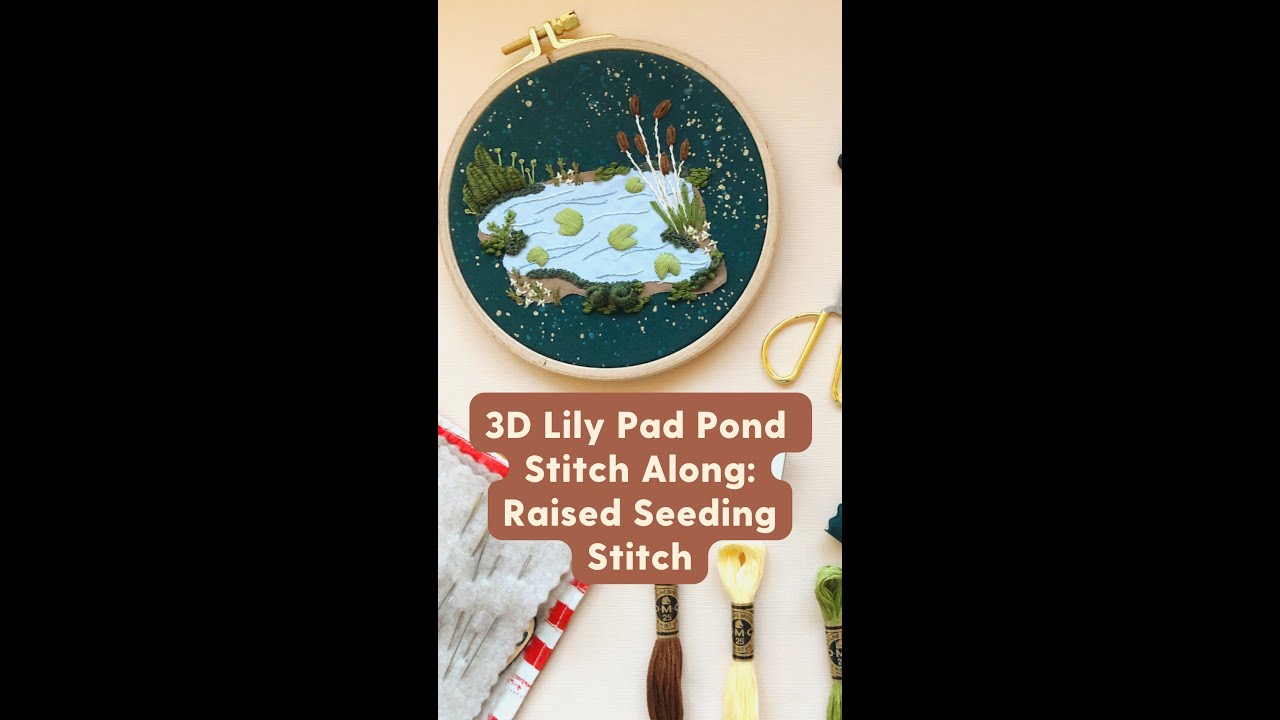 How to Hand Embroider the Raised Seeding Stitch - YouTube