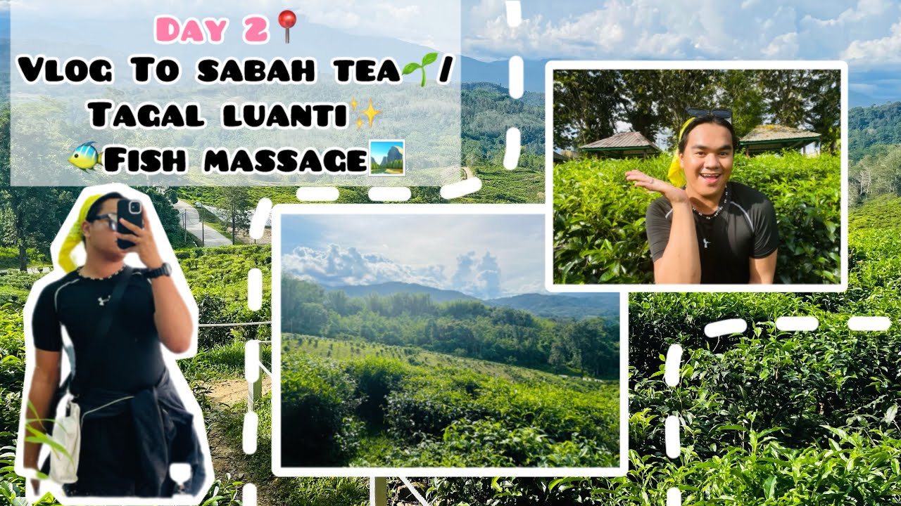 DAY 2📍: VLOG TO SABAH TEA🌱/ TAGAL LUANTI 🐠FISH MASSAGE🏞️ - YouTube