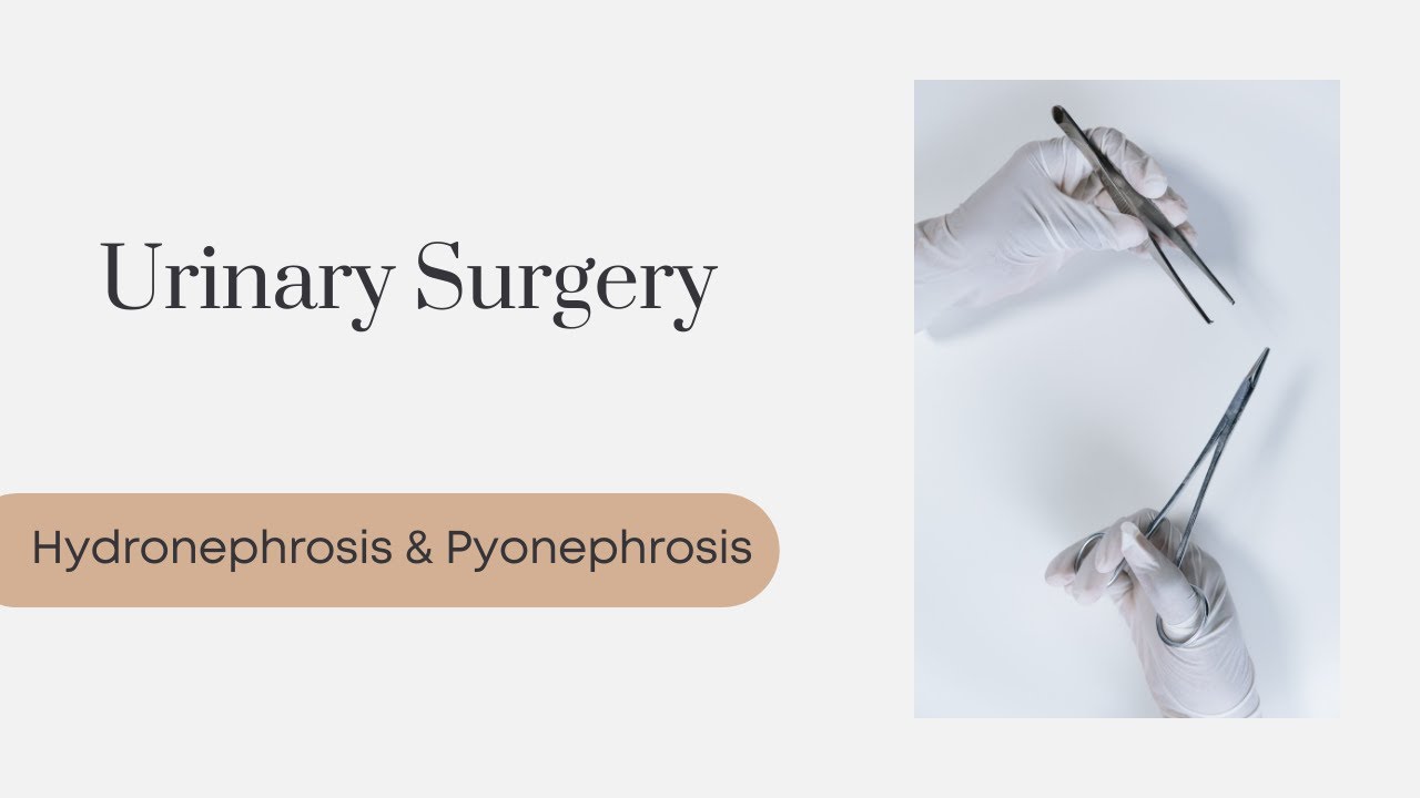Urinary Surgery | Hydronephrosis & Pyonephrosis - YouTube