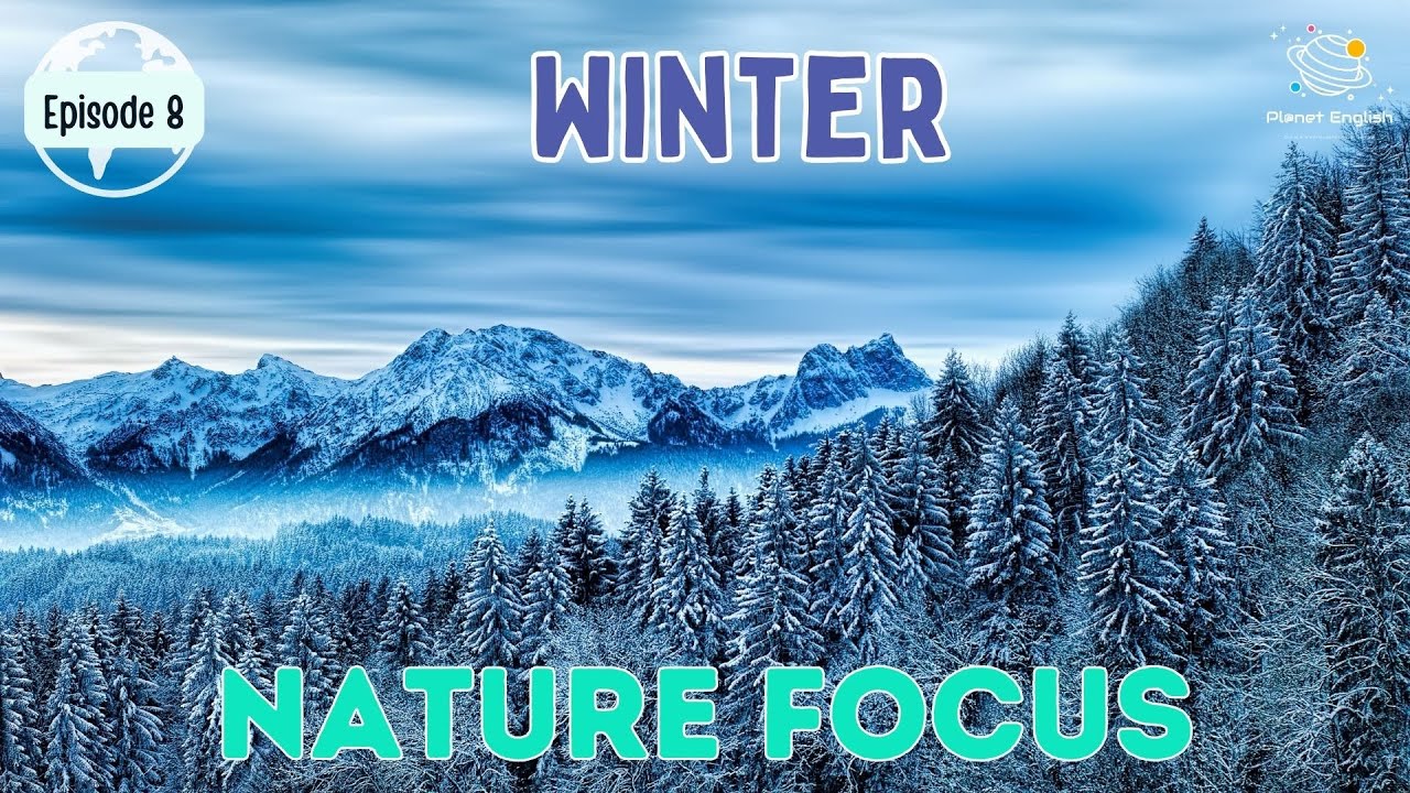 Winter | Nature Focus for Kindergarten | EYFS | Episode 8 - YouTube