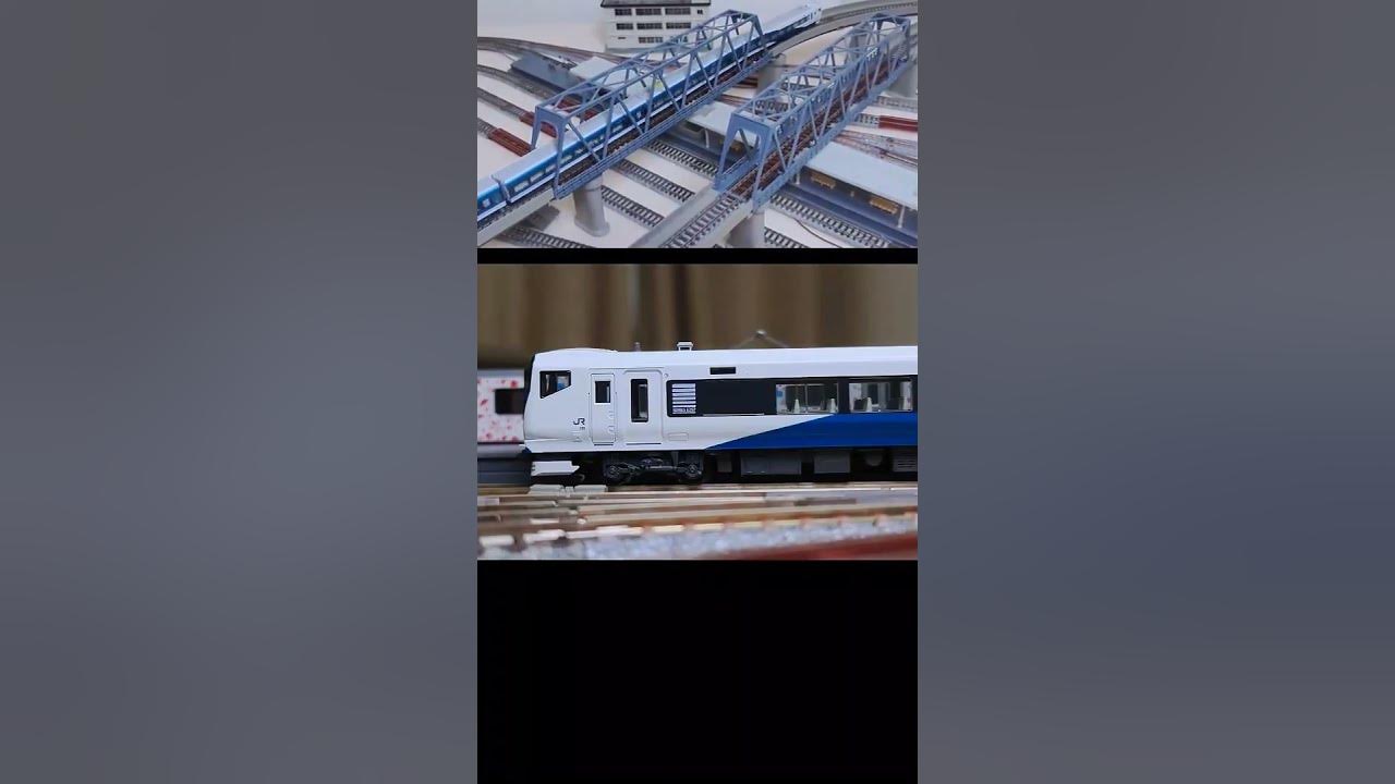 共走 JR東日本E257系踊り子〈KATO 10-1614〉＆ 伊豆急3000系アロハ電車4両〈TOMIX 98762一部〉 JR EAST ODORIKO ＆ IZUKYU ALOHA ...