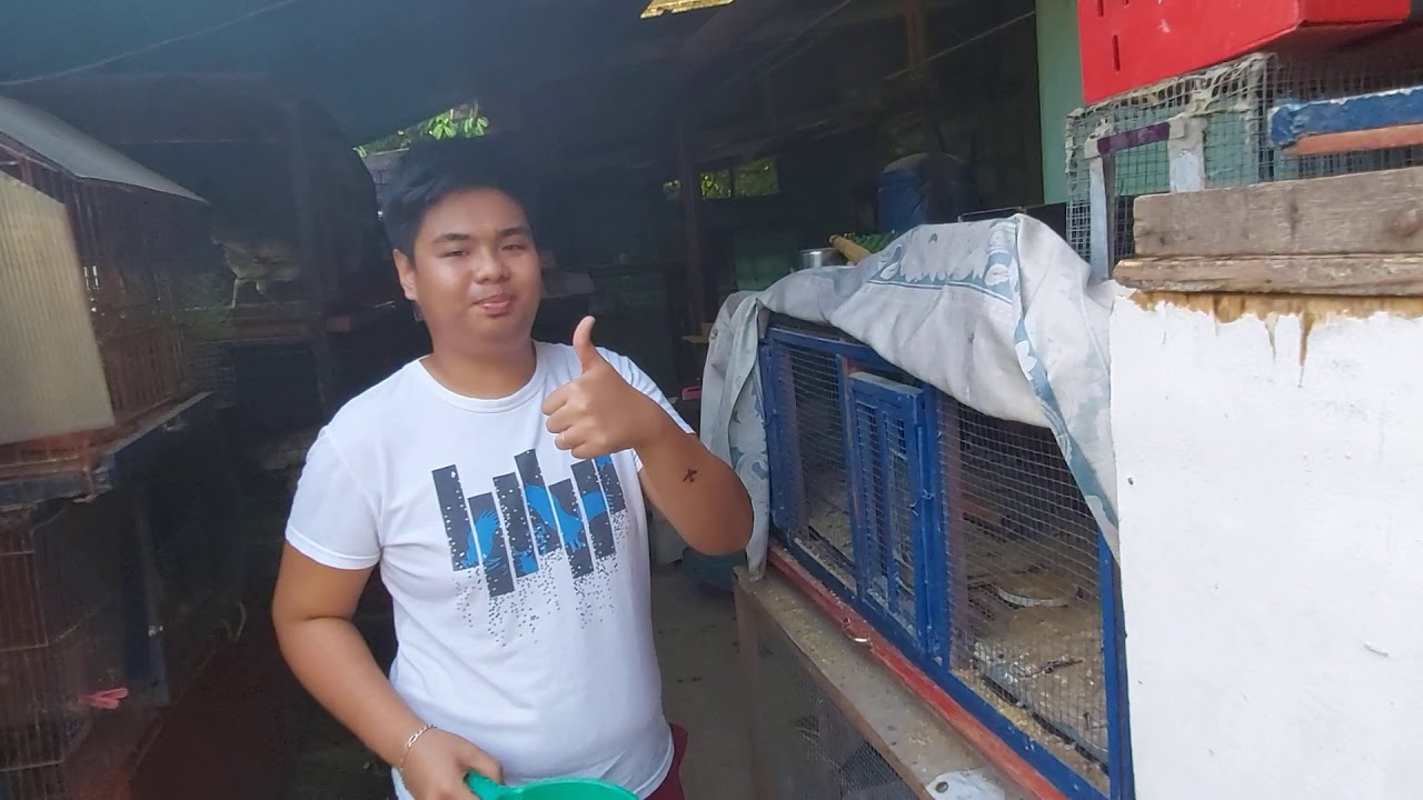 Rrzn Kanawayon Lines Breeder Nepa Qmart Cubao Rjc Kanawayon - YouTube