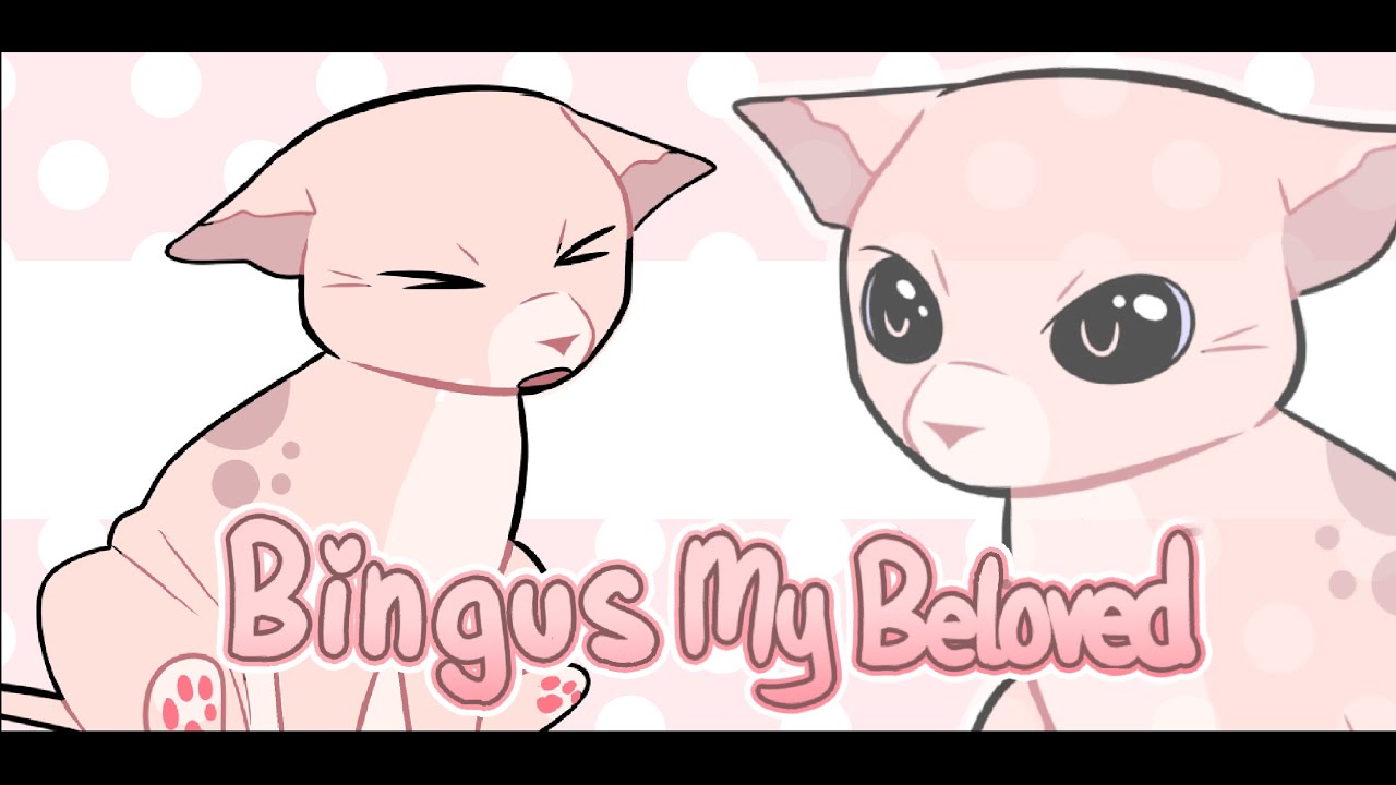 sad cat dance || animation meme (ft. bingus and friends) - YouTube