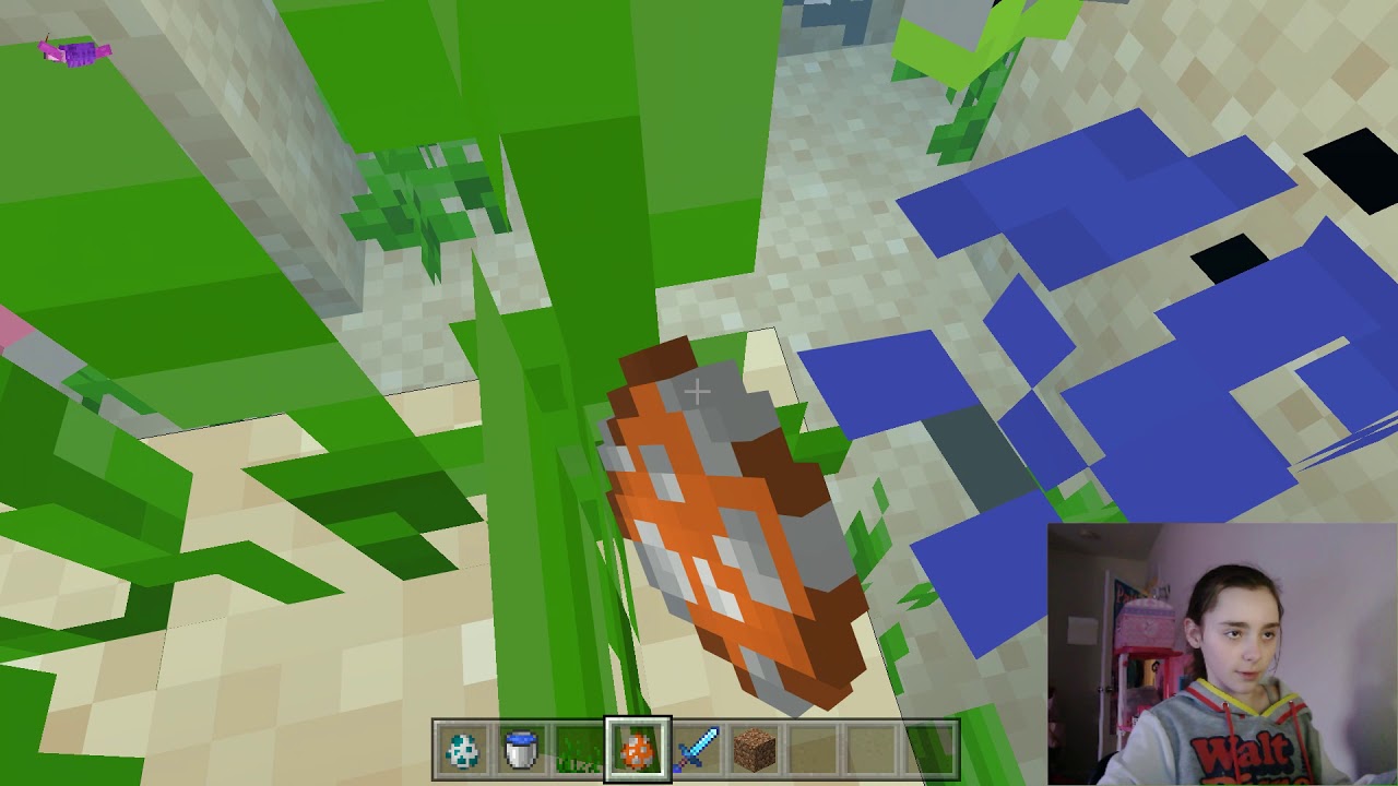 Minecraft: VSCO Land! - YouTube