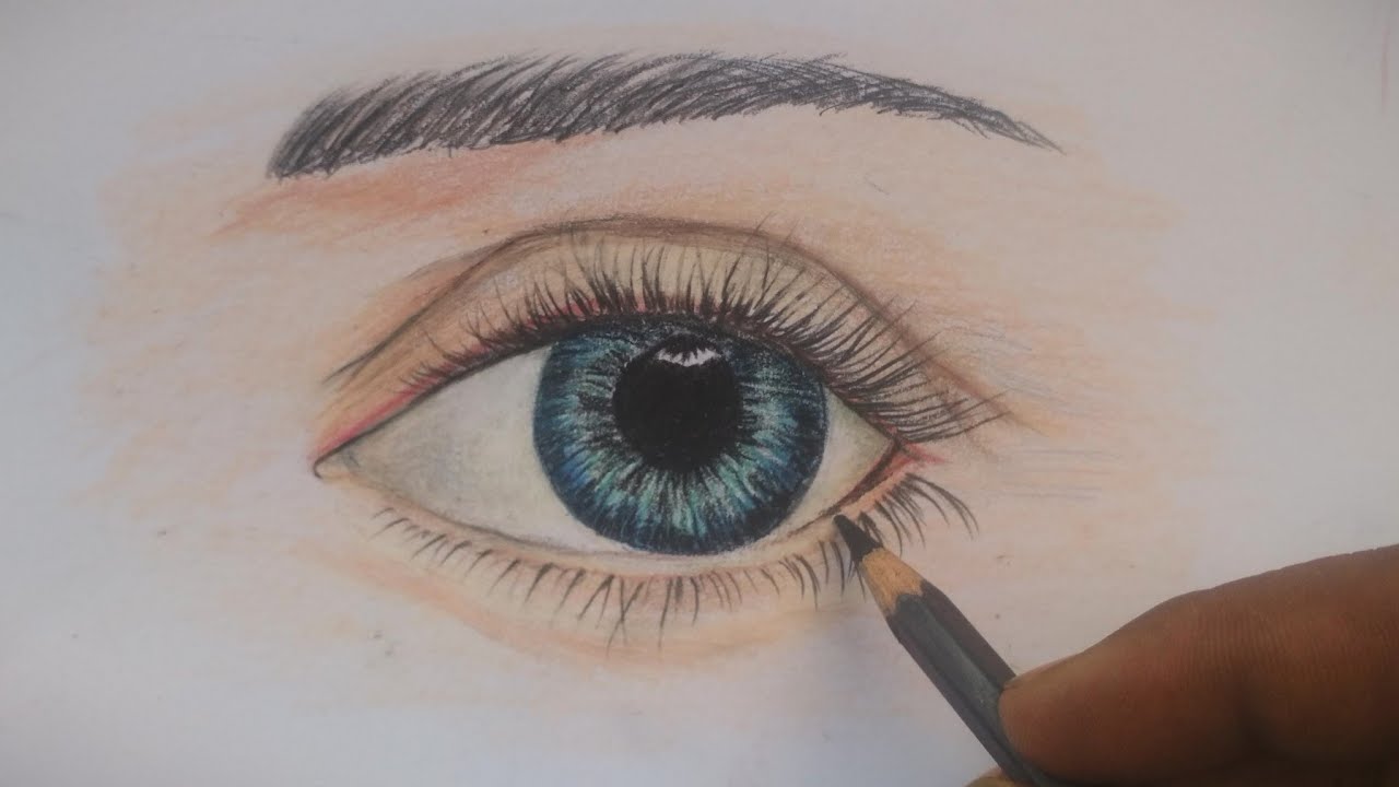 Realistic eye drawing with color pencil/color pencil drawing/RKS ...