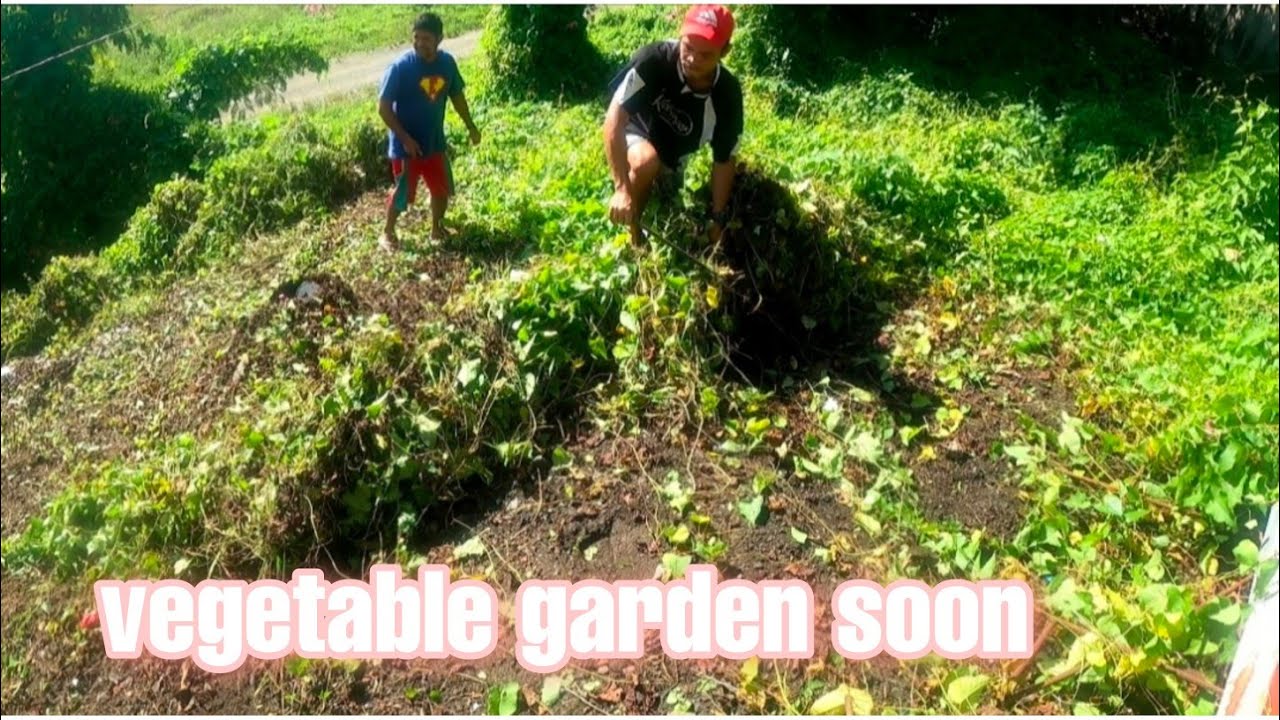 PAGLILINIS SA TANIMAN NG GULAY|BUHAY PROBINSYA - YouTube