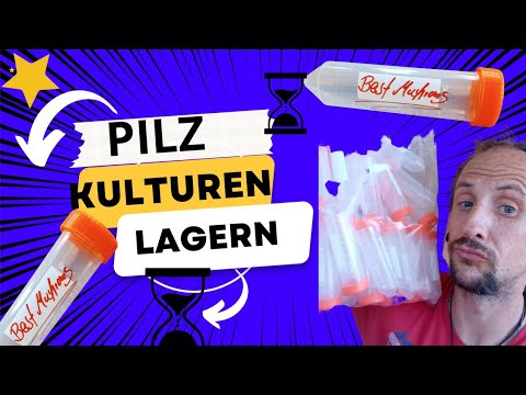 Pilzkulturen haltbar machen: Lagerungstechniken für eine längere ...