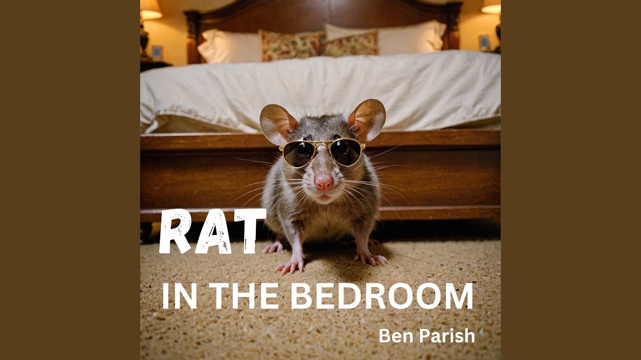 Rat in the Bedroom - YouTube