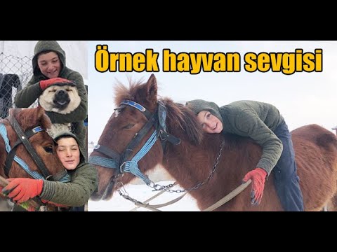 Kars’ta örnek hayvan sevgisi – Cumhuriyet Köyü (Kamasor)
