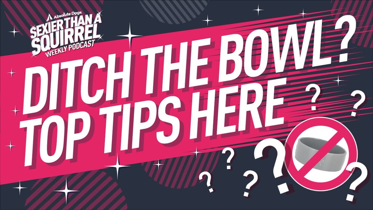 Ditch the Bowl - Taking your First Steps - YouTube