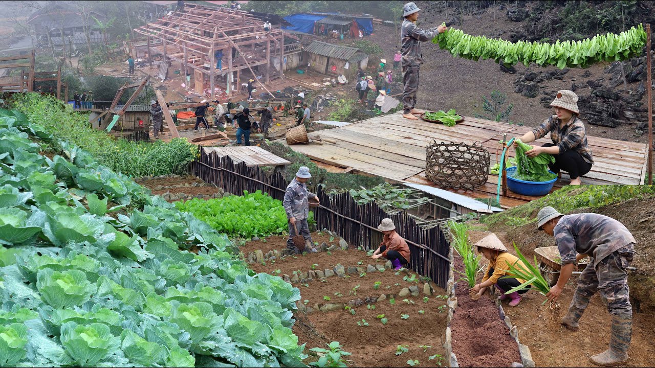 Building An Off-Grid Farm | A New Flower Road & Returning To Complete A ...