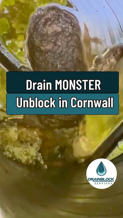 Drain MONSTER Unblock in Cornwall #shorts - YouTube
