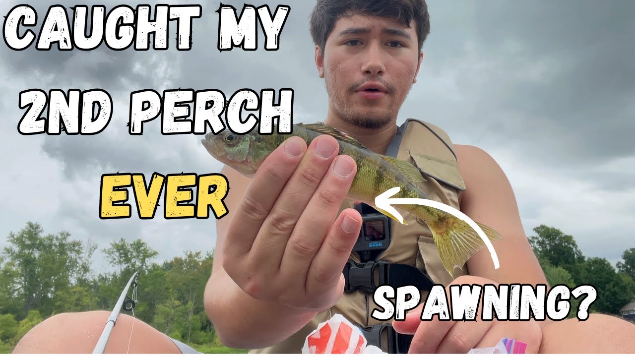 Kayak Fishing Miner Lake in Allegan Michigan! - YouTube