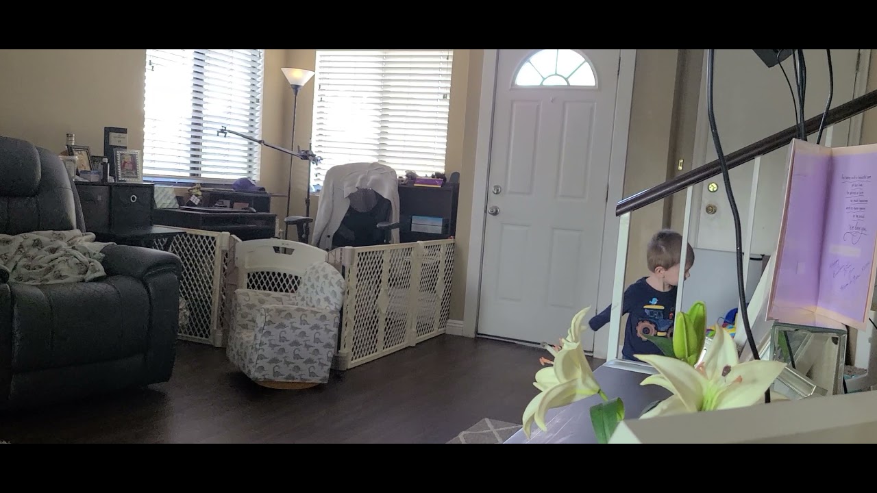 Nose Booping - YouTube