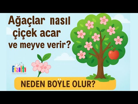 🌸 Ağaçlar Nasıl Çiçek Açar ve Meyve Verir? | Doğanın Sırrını Keşfet! 🍎✨#keşfetteyiz #beniöneçıkart