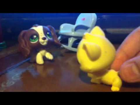 LPS Sailor Stars~Usagi Meets Seiya - YouTube