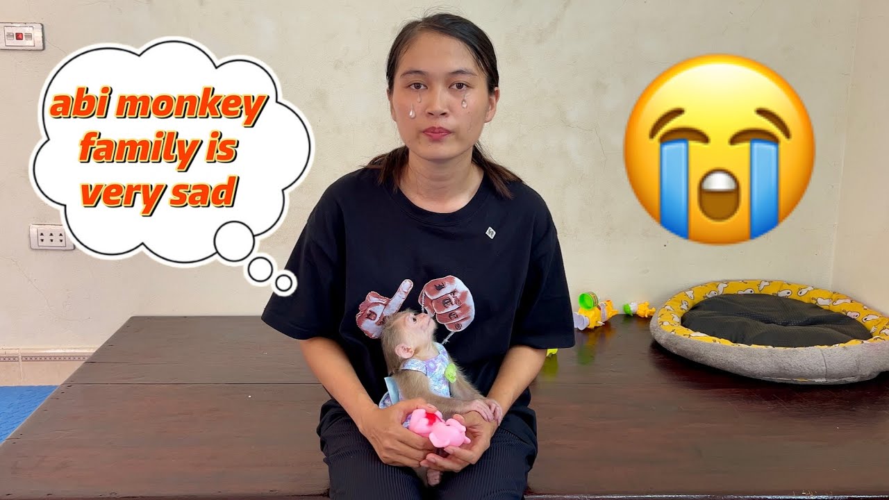 Abi monkey family channel is no longer active for sad reasons😓! - YouTube