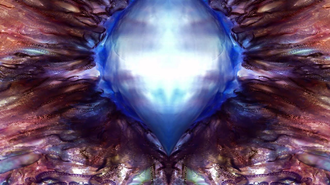 zooid 5 - YouTube