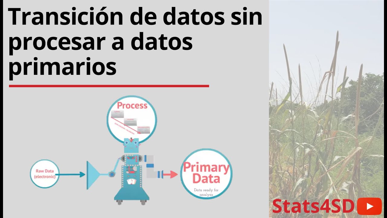 Transición de datos sin procesar a datos primarios - YouTube