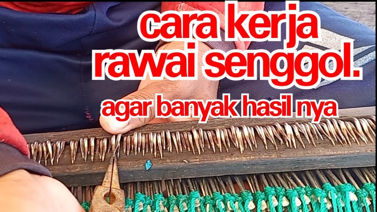 CARA KERJA RAWI SENGGOL - YouTube