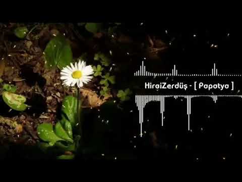 Watsap durumu için video