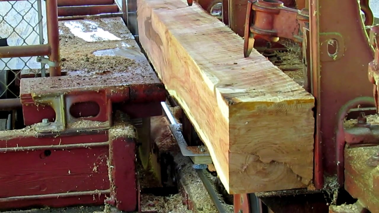 Cherry Log 6-27-19 - YouTube