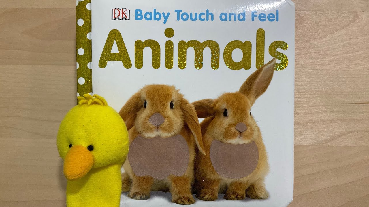 Baby Touch and Feel Animals - First Book for Babies, Toddlers - Read ...