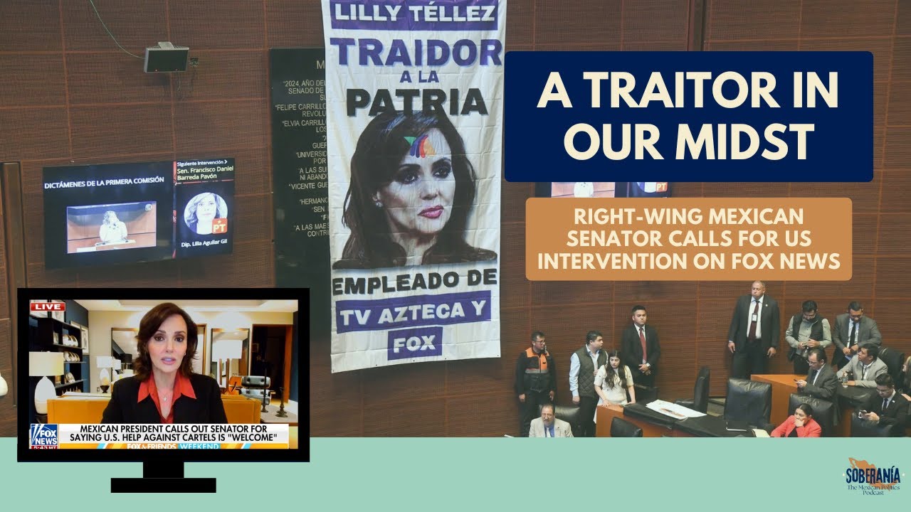 A Traitor In Our Midst: Right-wing Mexican Senator Calls for US ...