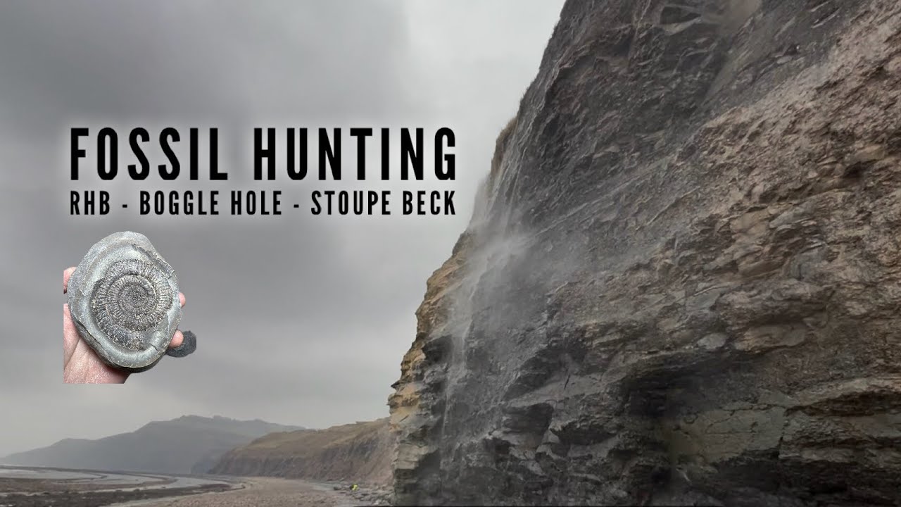 Awesome Find Fossil Hunting At RHB - Boggle Hole - Stoupe Beck ...