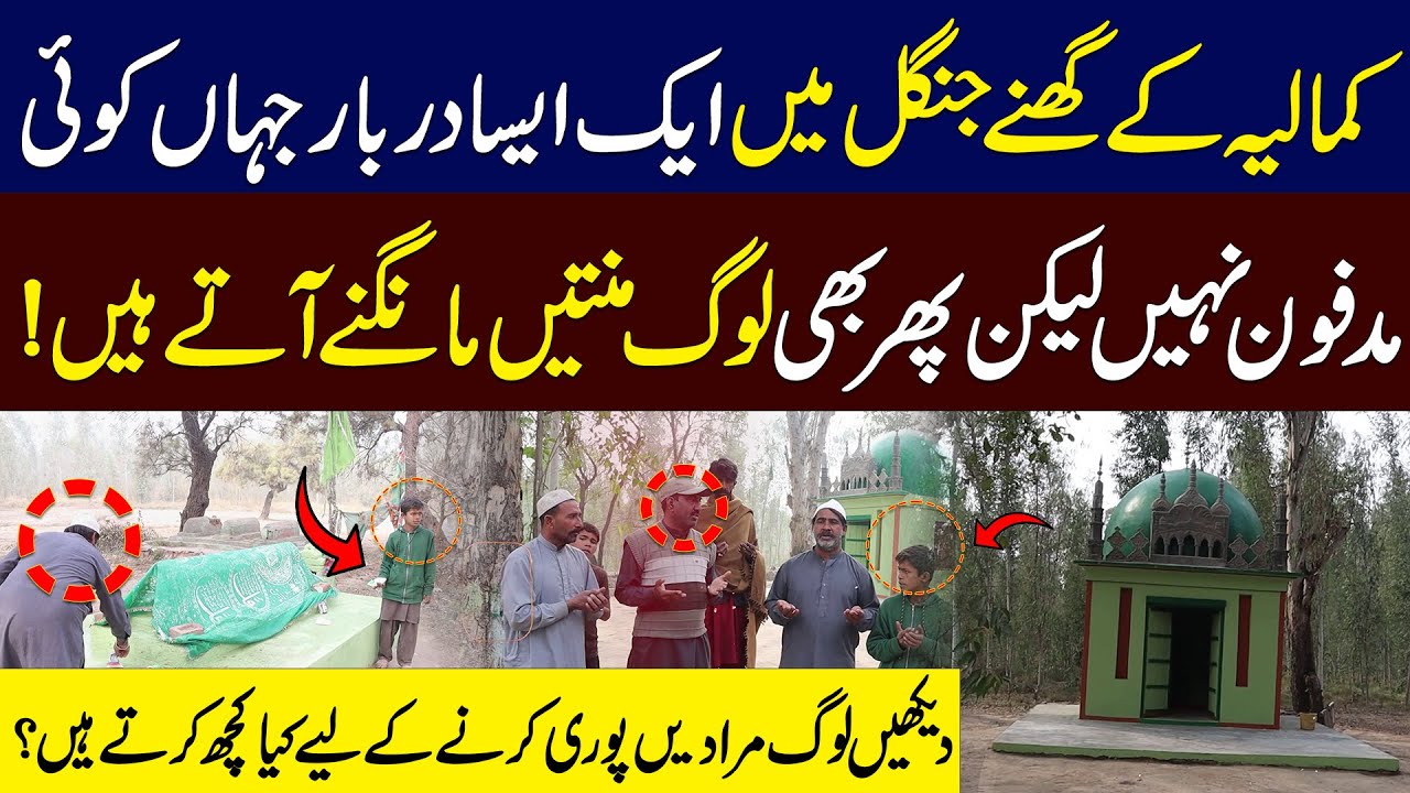 Kamalia Ke Jungle Main Asa Darbar Jaha Koi Madfon Nahi Lekin Log Mantay Mangte Hain | Neo ...