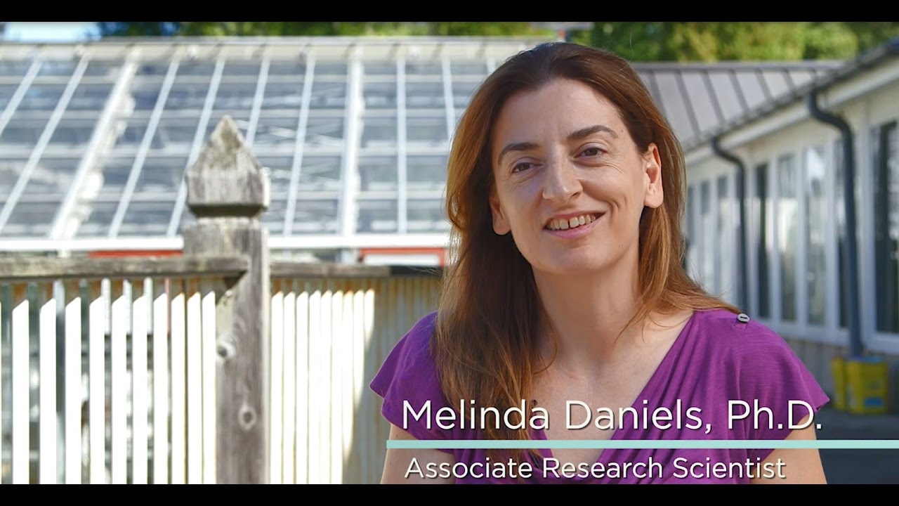 Water Science Careers: Fluvial Geomorphology - YouTube