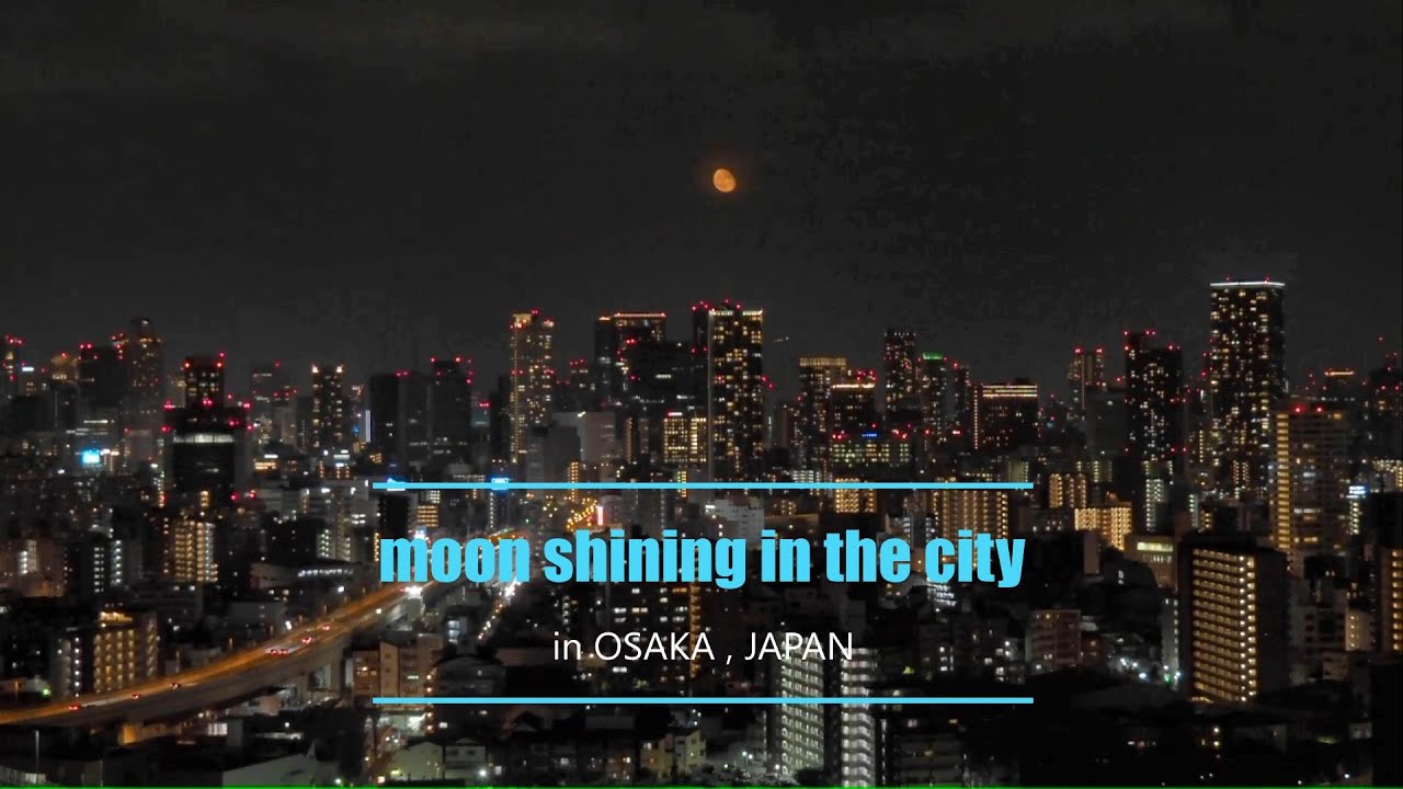 LIVE【中秋の名月&満月】ライブカメラ十五夜お月見 moon shining in osaka city#大阪 #osaka - YouTube