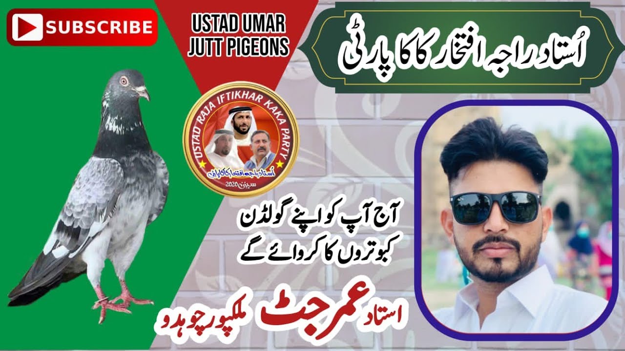 ustad Umar Jutt k golden kabotron ka shauq karein - YouTube