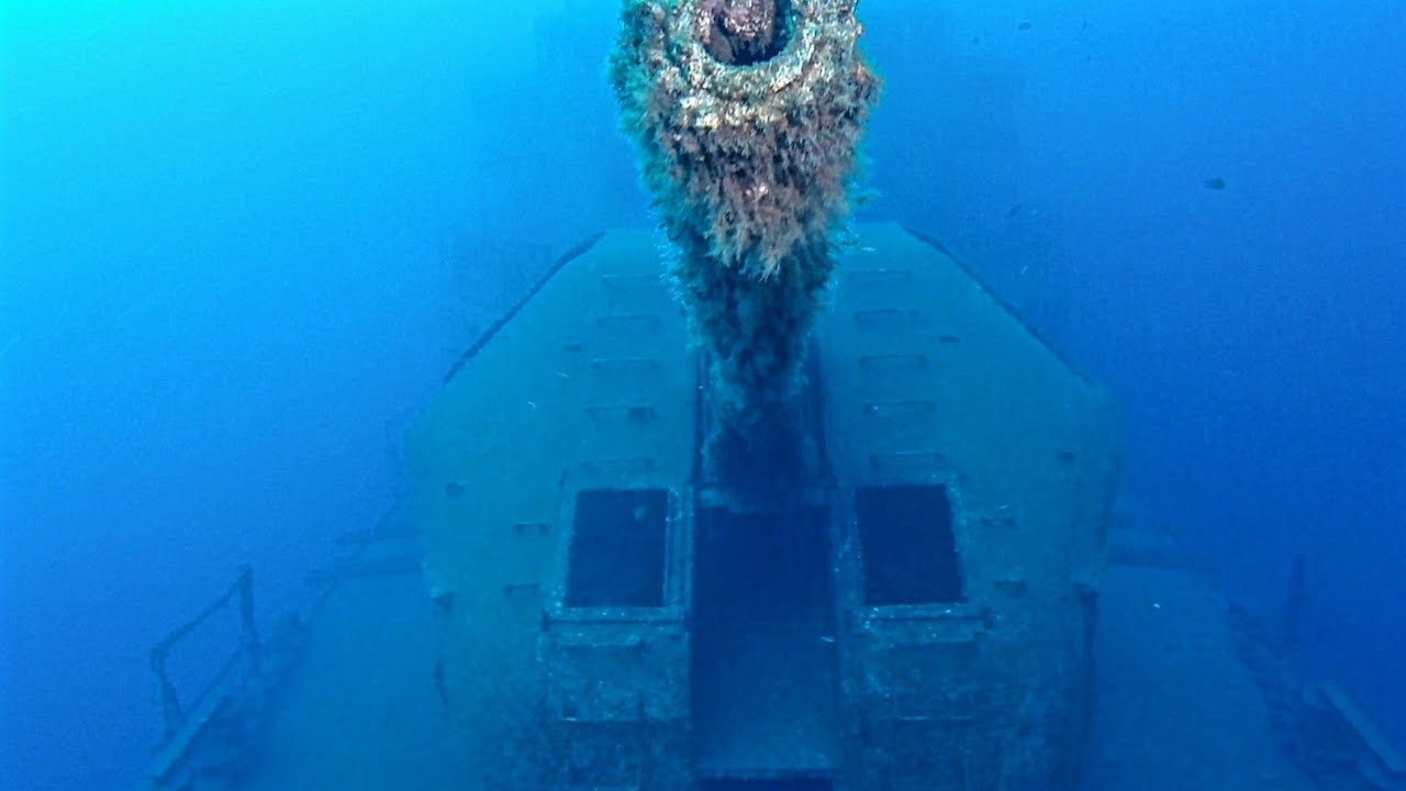 Dive on Wreck Corveta Afonso Madeira - YouTube