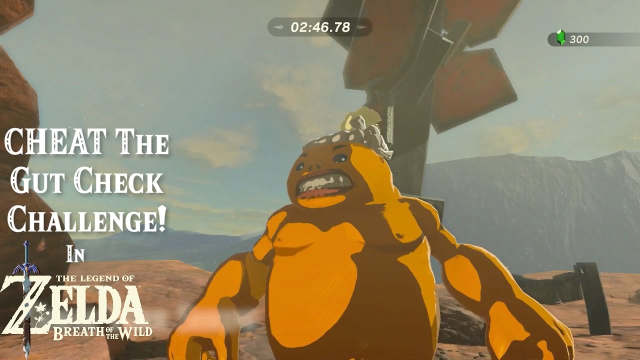 How to 'Cheat' The Gut Check Challenge Mini Game With GLITCHES (Zelda ...