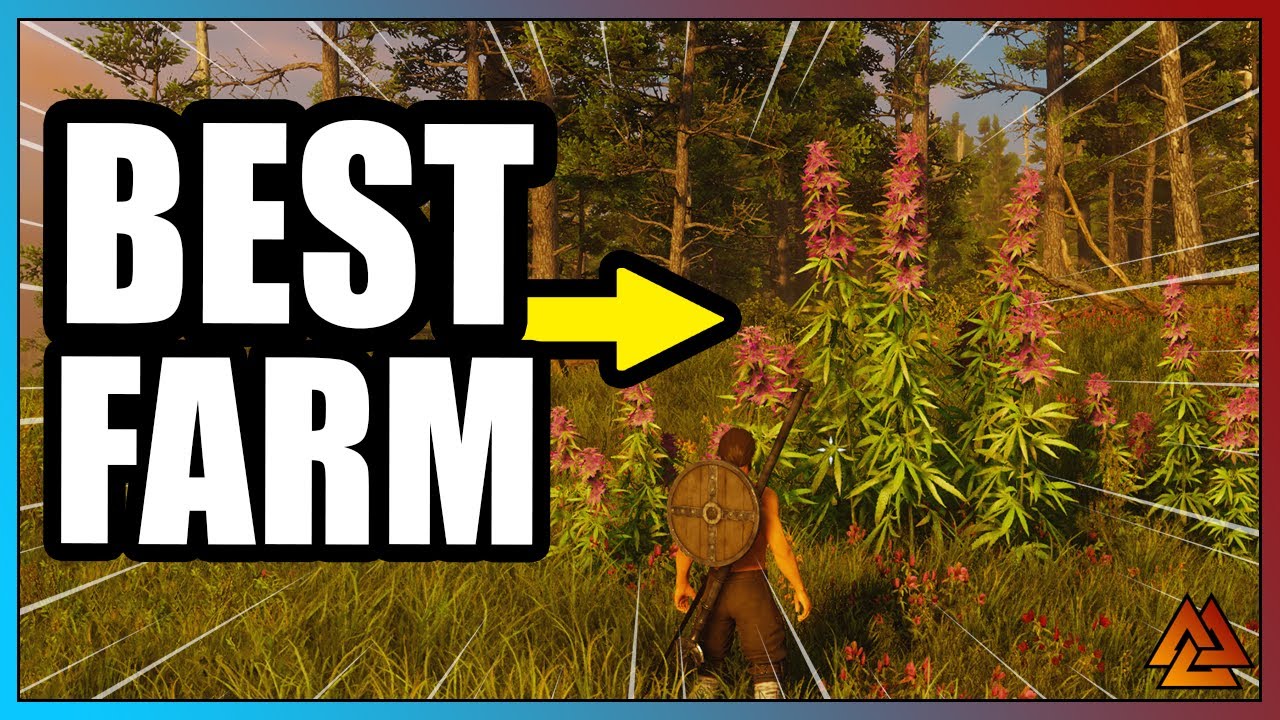 New World: The BEST Hemp Farming Route! Over 5000 Fibers Per Hour - YouTube