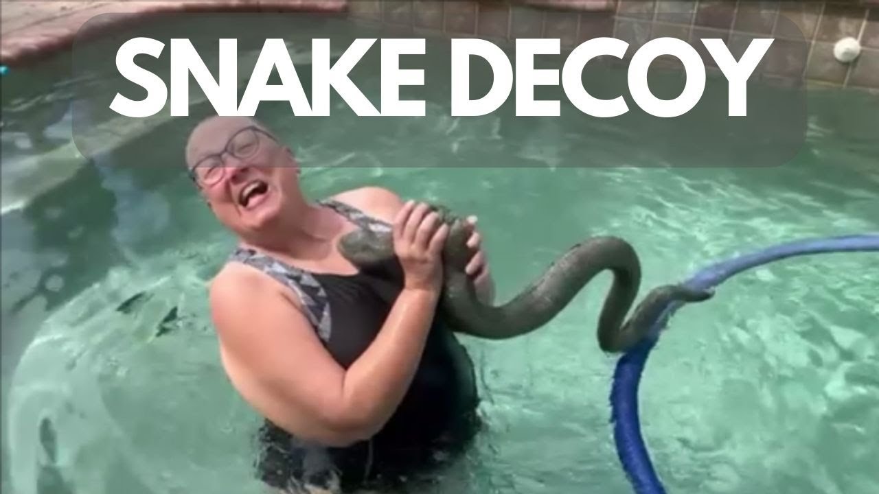 FUTUREPLUSX Inflatable Snake, 3PCS Fake Snake Animal Pool Floats Review ...