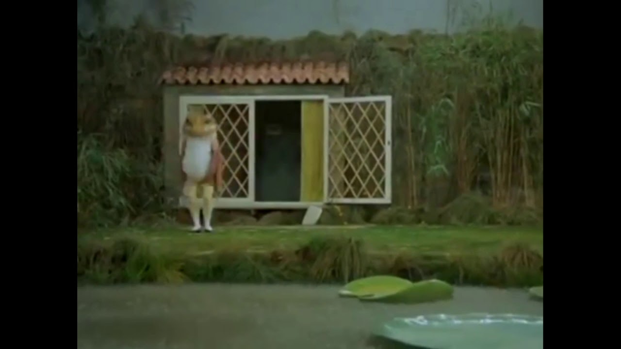 Sapo trapper (sapo do balé) - YouTube