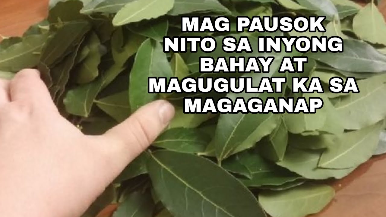 MAG PAUSOK NITO SA INYONG BAHAY AT MAGUGULAT KA SA MAGAGANAP-APPLE ...
