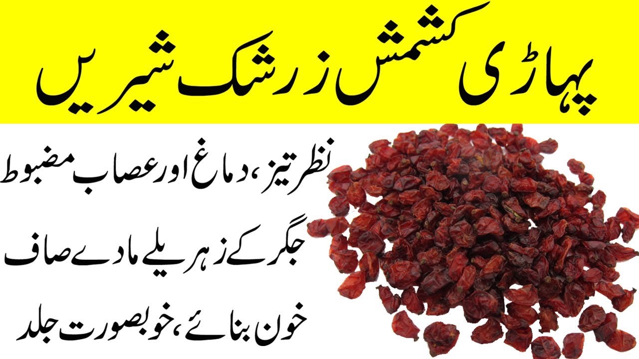 Zarshak khane ke fayde | Benefits of eating zarshak shereen - YouTube