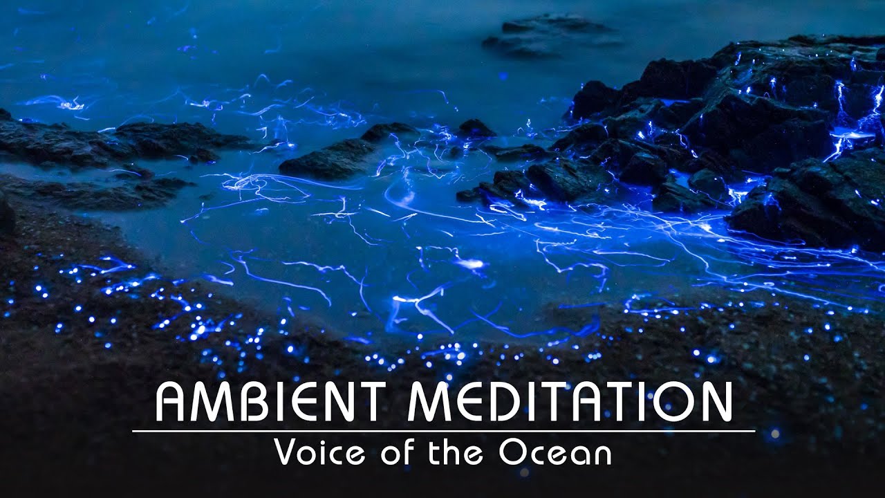 Voice of the Ocean / Ambient Meditation / Relax Music - YouTube