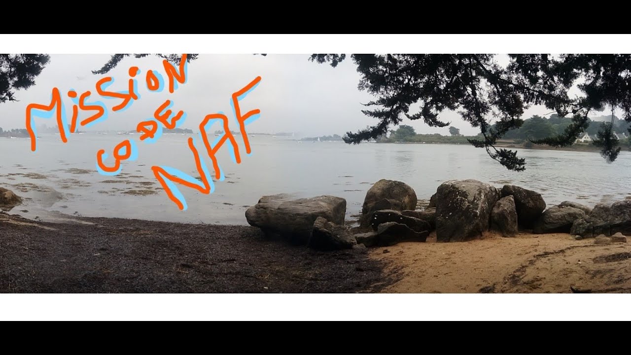 Recherche de stage : La Nomenclature d’activités française (NAF) de l ...